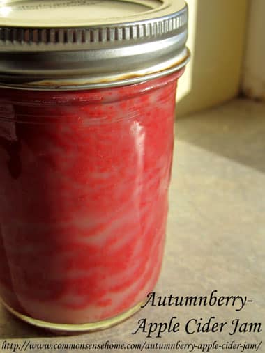 Autumnberry-Apple Cider Jam | Self-Sufficiency | Before It's News